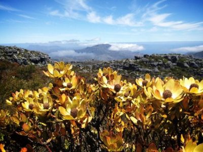 What Are High Value Travel Destinations? - Adventurous Kate