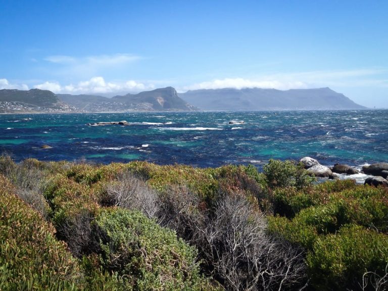 A Glorious Day on the Cape Peninsula - Adventurous Kate