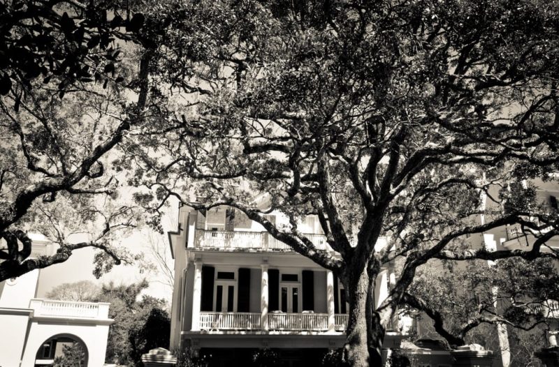 On Charleston and Victims of Timing - Adventurous Kate