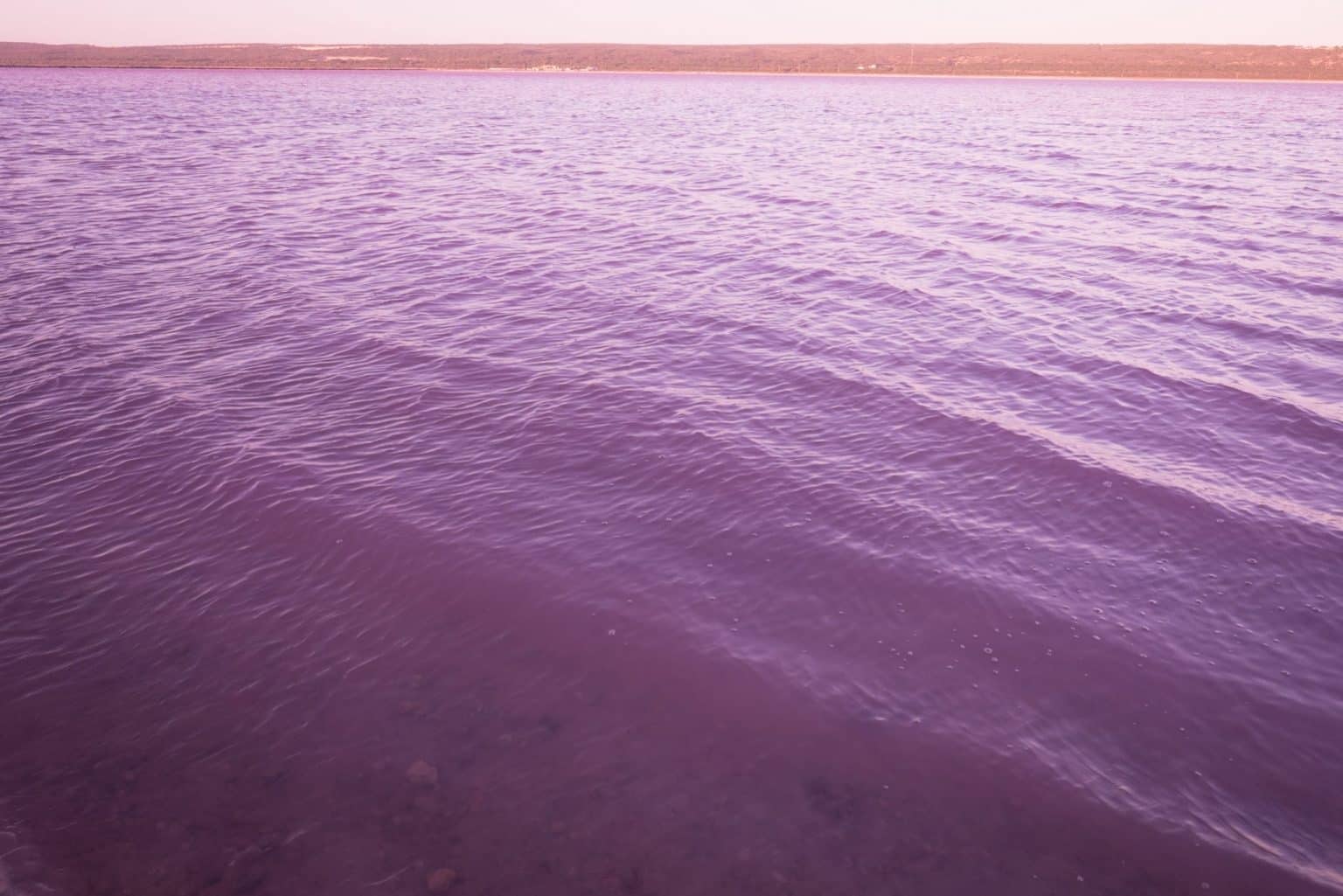 On the Shores of a Pink Lake in Australia - Adventurous Kate