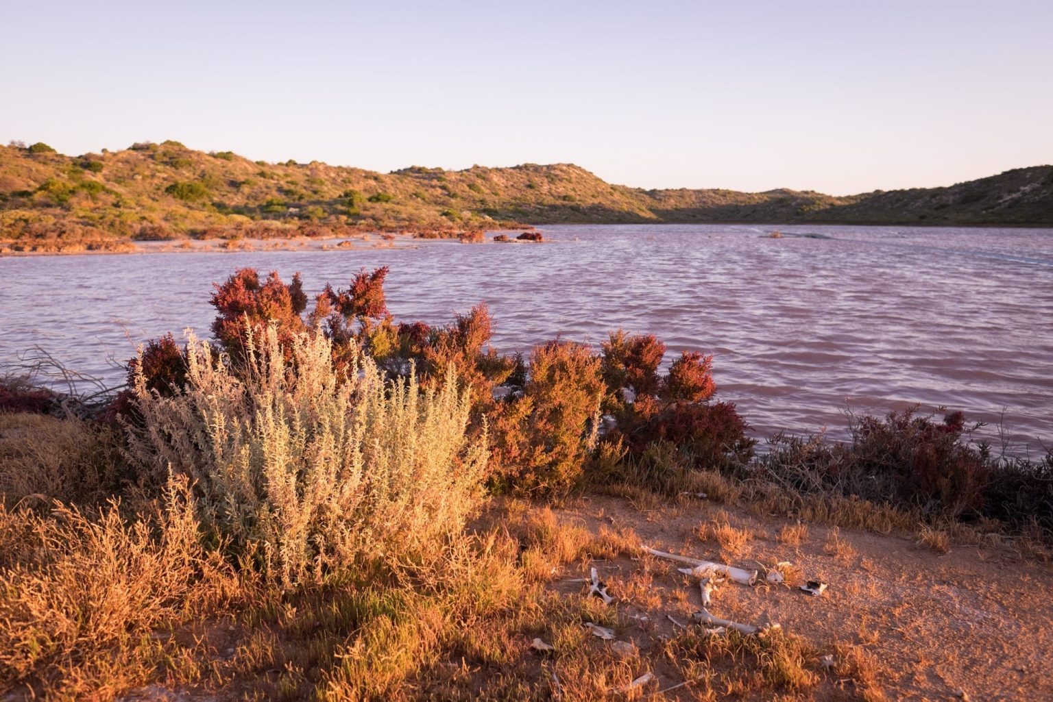 On the Shores of a Pink Lake in Australia - Adventurous Kate