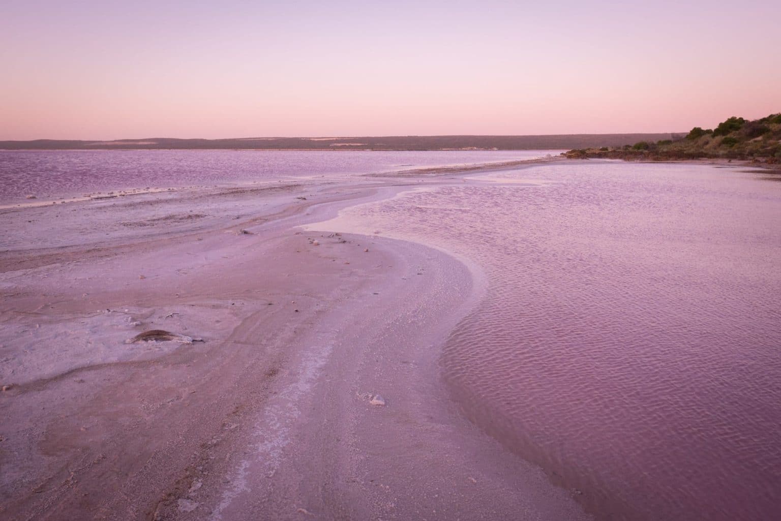 On the Shores of a Pink Lake in Australia - Adventurous Kate