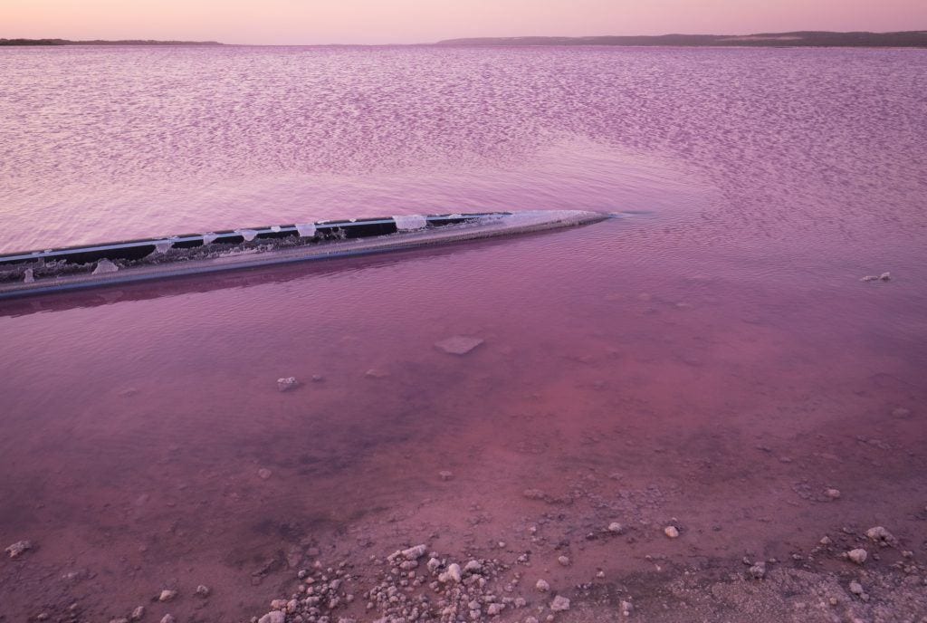 On the Shores of a Pink Lake in Australia - Adventurous Kate