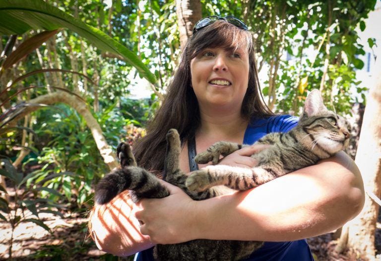 Key West, You Are My New Favorite - Adventurous Kate