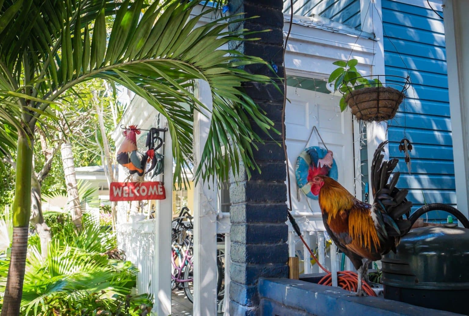 Key West, You Are My New Favorite - Adventurous Kate