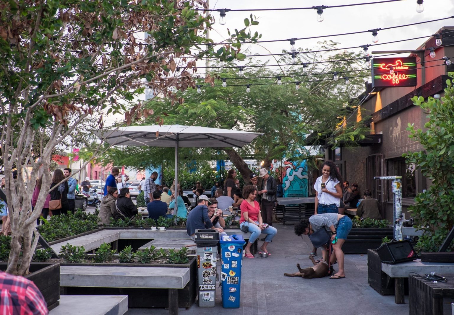 24 Fabulous Things To Do in Key Largo, Florida