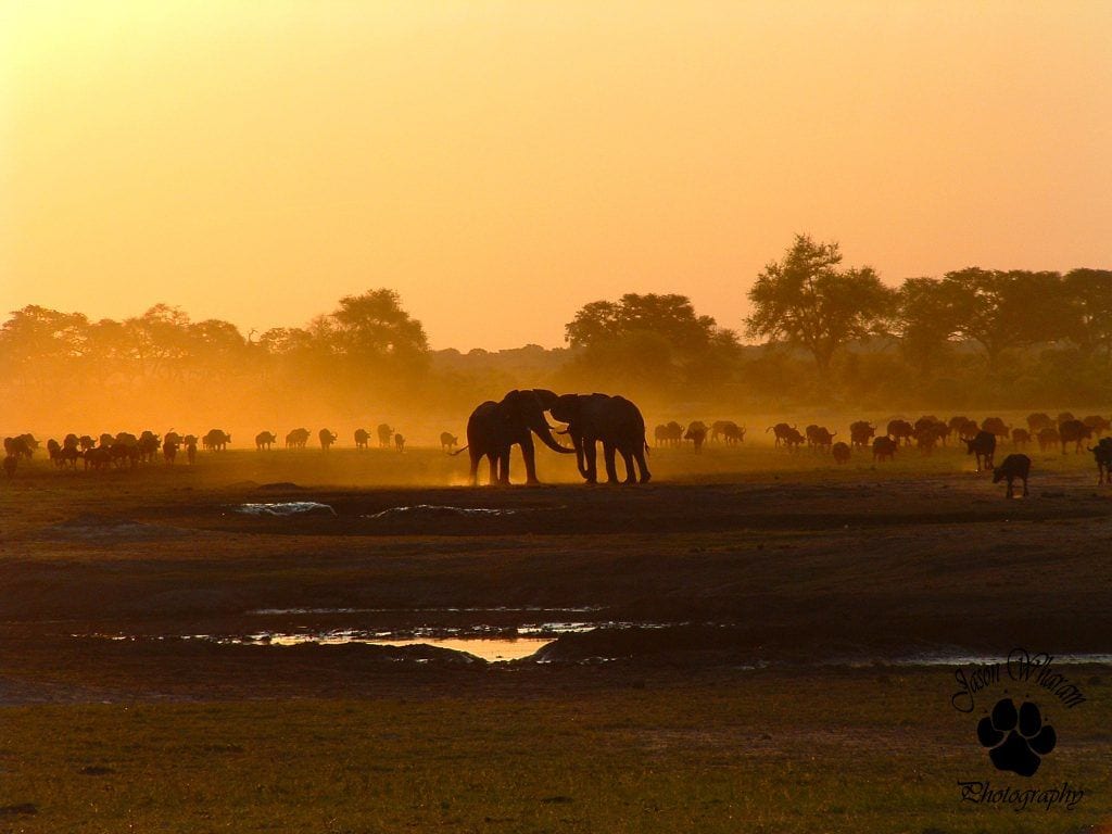 TBEX Zimbabwe: An Unethical and Irresponsible Choice - Adventurous Kate