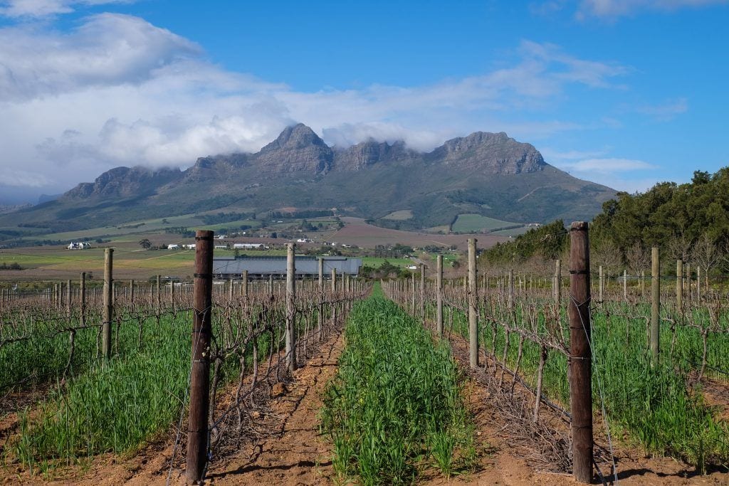 Things to Do in Stellenbosch: A Guide to South Africa's Wine Region ...