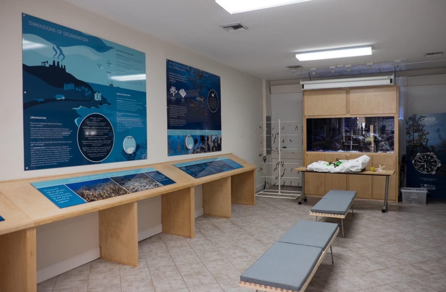 24 Fabulous Things To Do in Key Largo, Florida