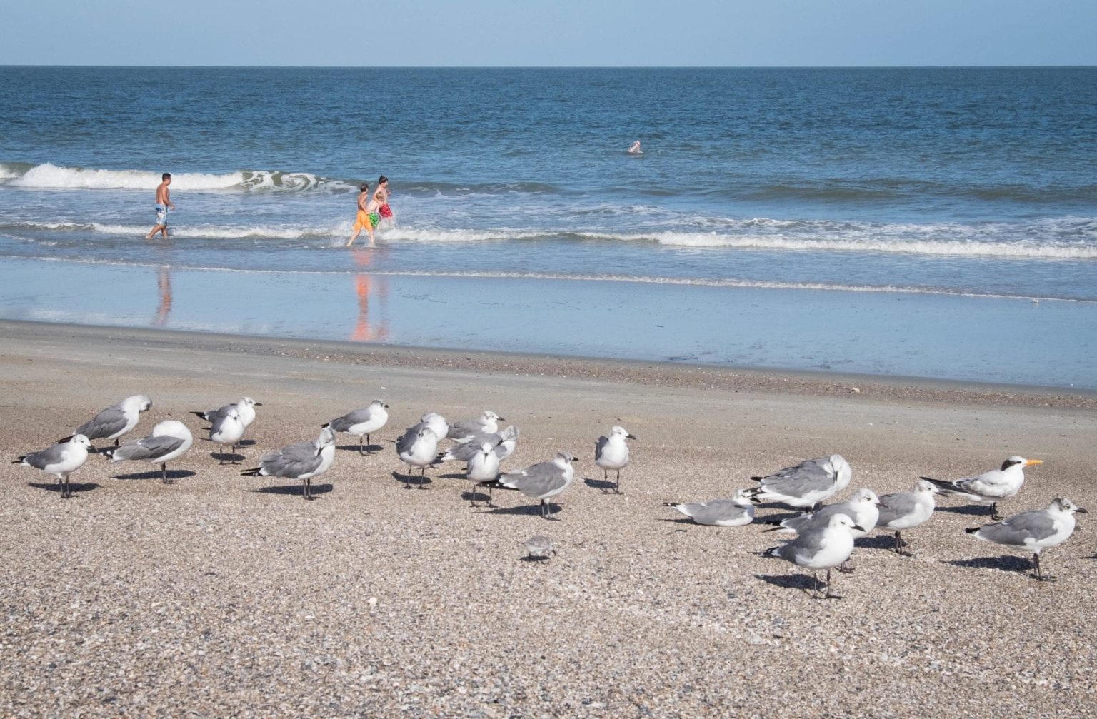 A Getaway to Tybee Island - Savannah's Beach - Adventurous Kate