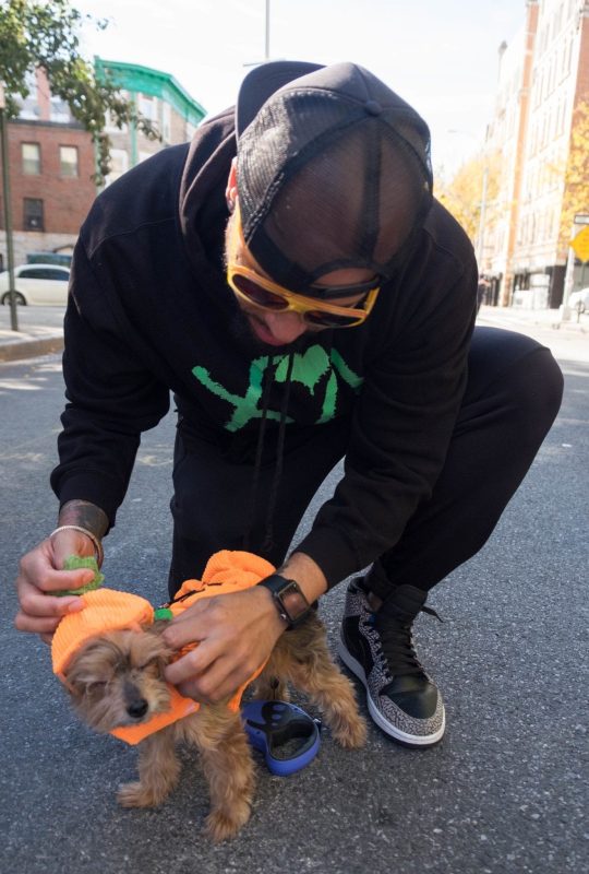 The Best Halloween Dogs in Hamilton Heights, Harlem - Adventurous Kate
