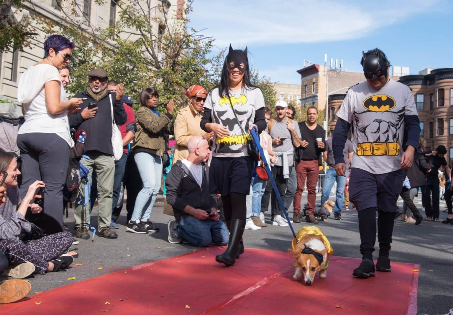 The Best Halloween Dogs in Hamilton Heights, Harlem - Adventurous Kate