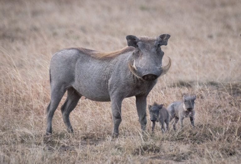 This is why they call it Magical Kenya. - Adventurous Kate