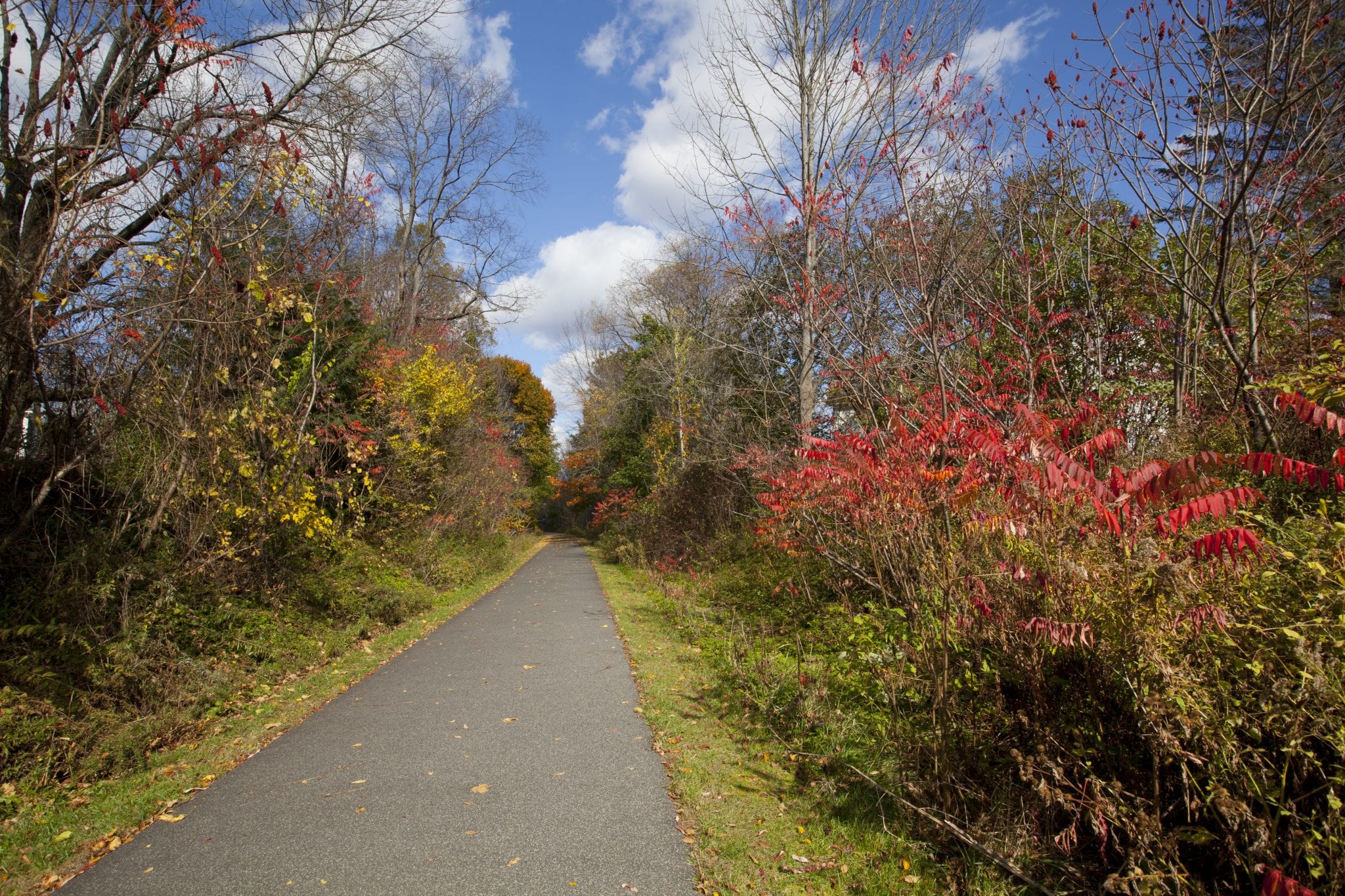 33 Best Things to Do in the Berkshires - Adventurous Kate