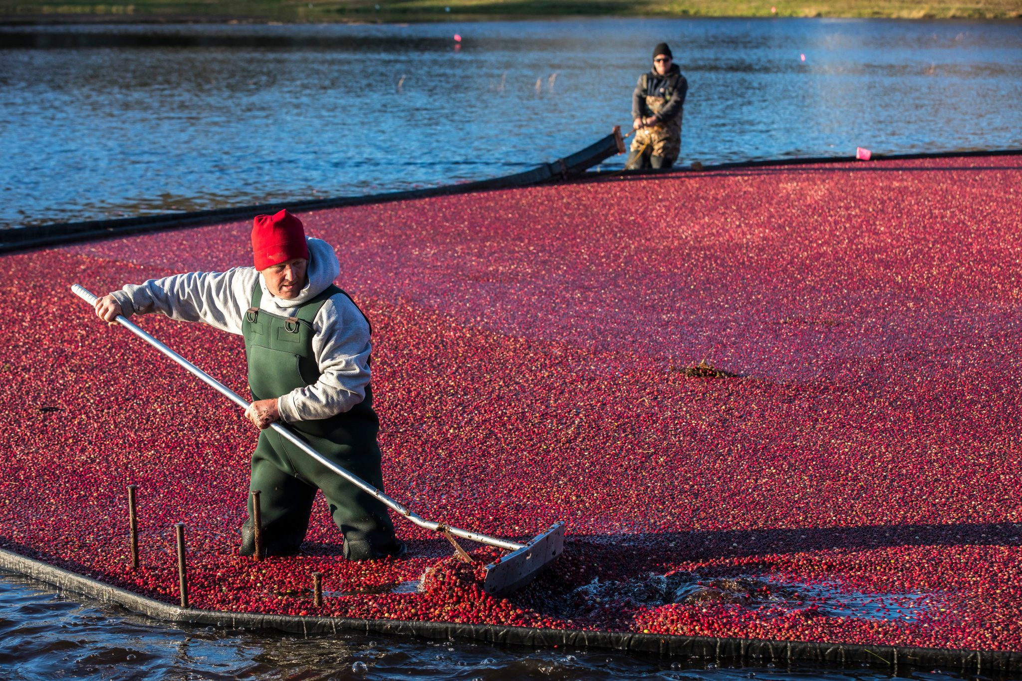 24 Fab Things To Do In Cape Cod, Massachusetts - Adventurous Kate