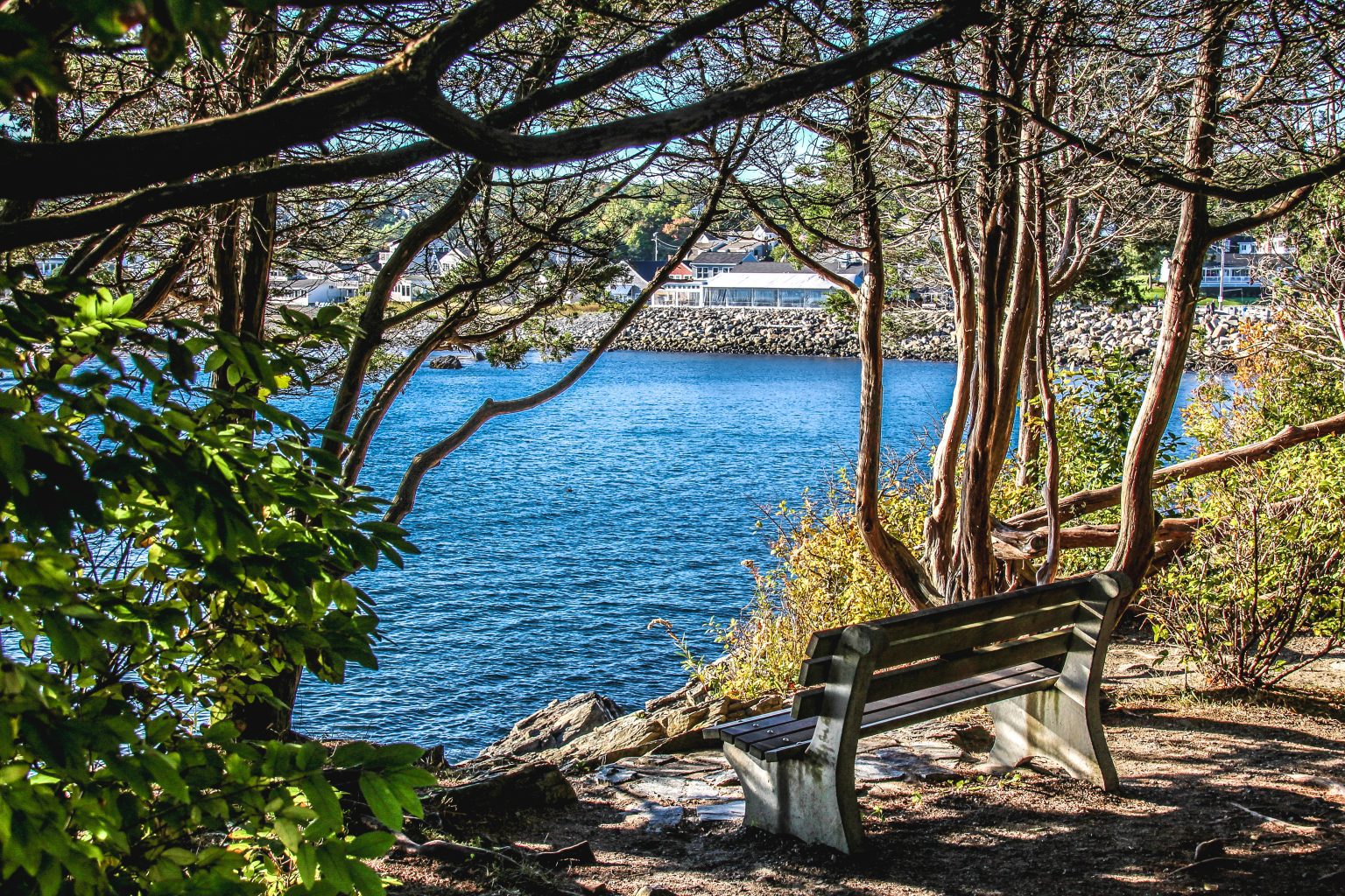 17 Fun Things To Do In Ogunquit, Maine