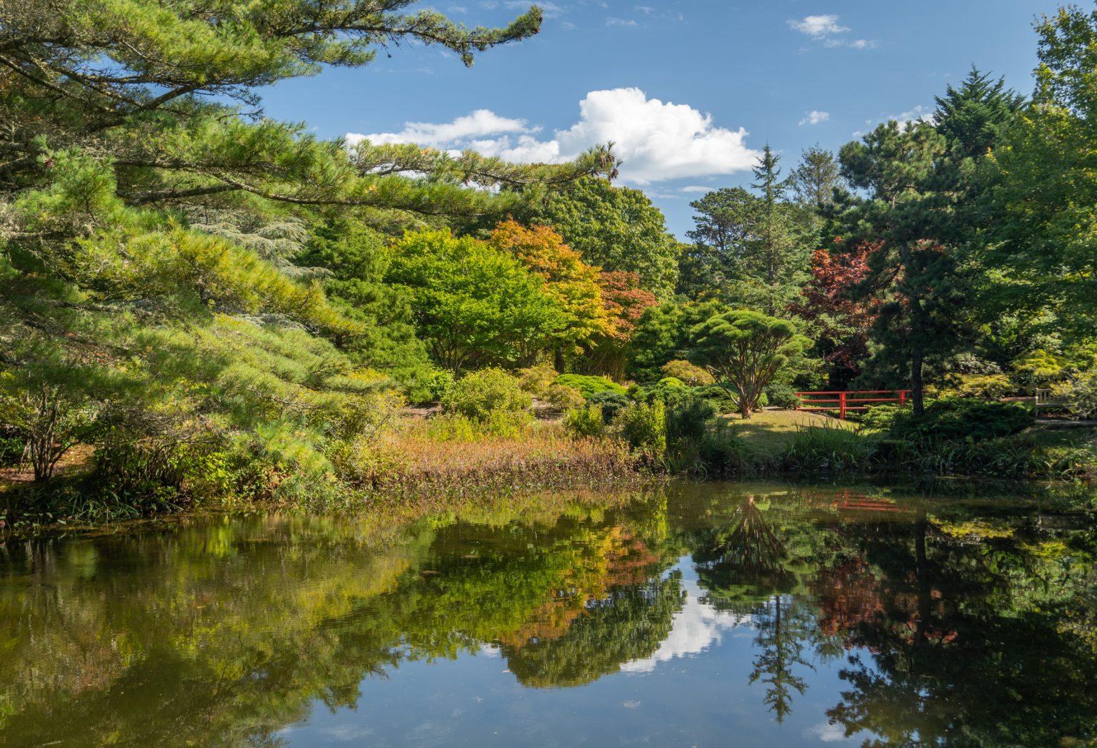 Visiting Chappaquiddick Island -- Things to Do and More!