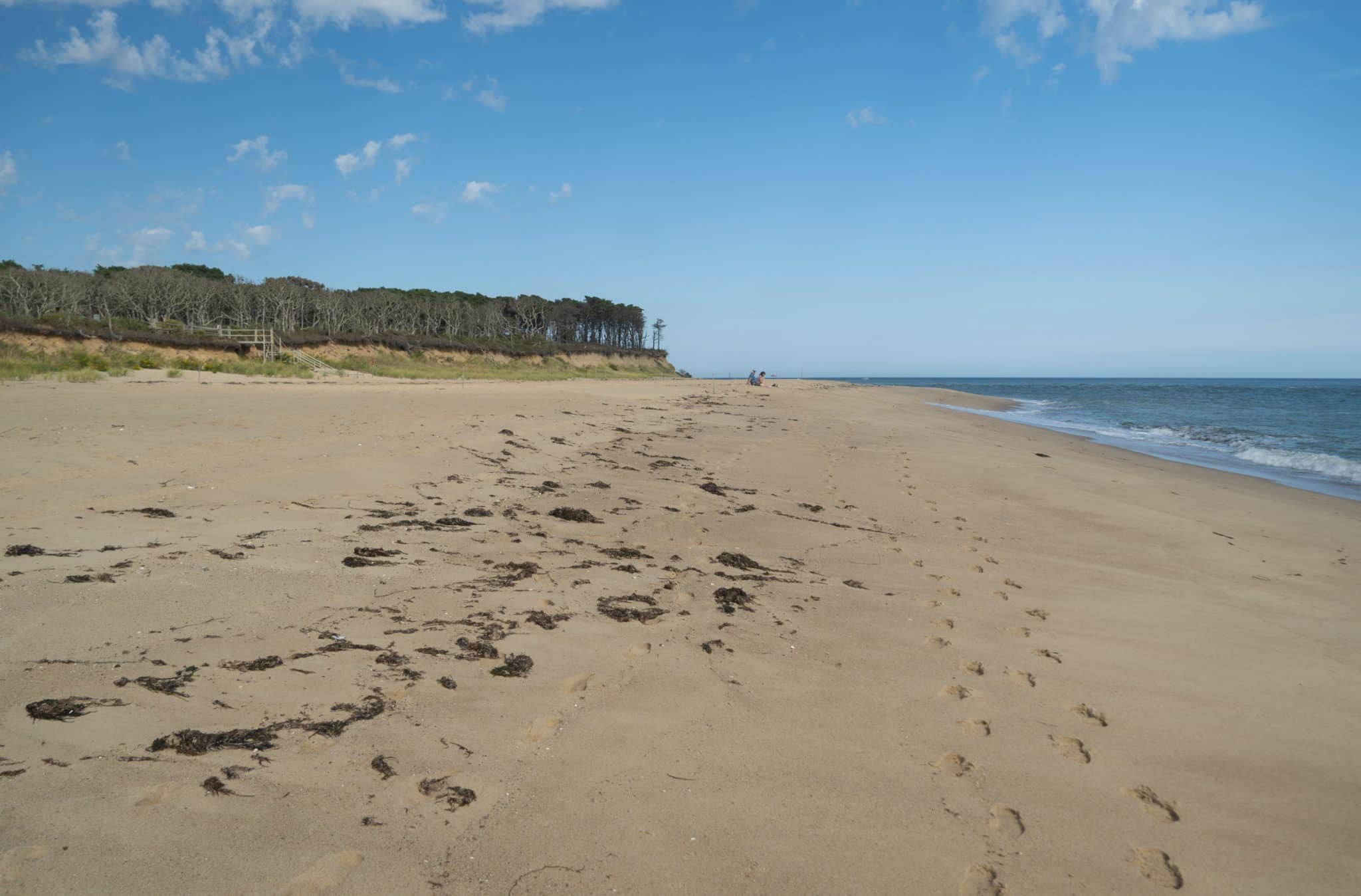 Visiting Chappaquiddick Island -- Things to Do and More!