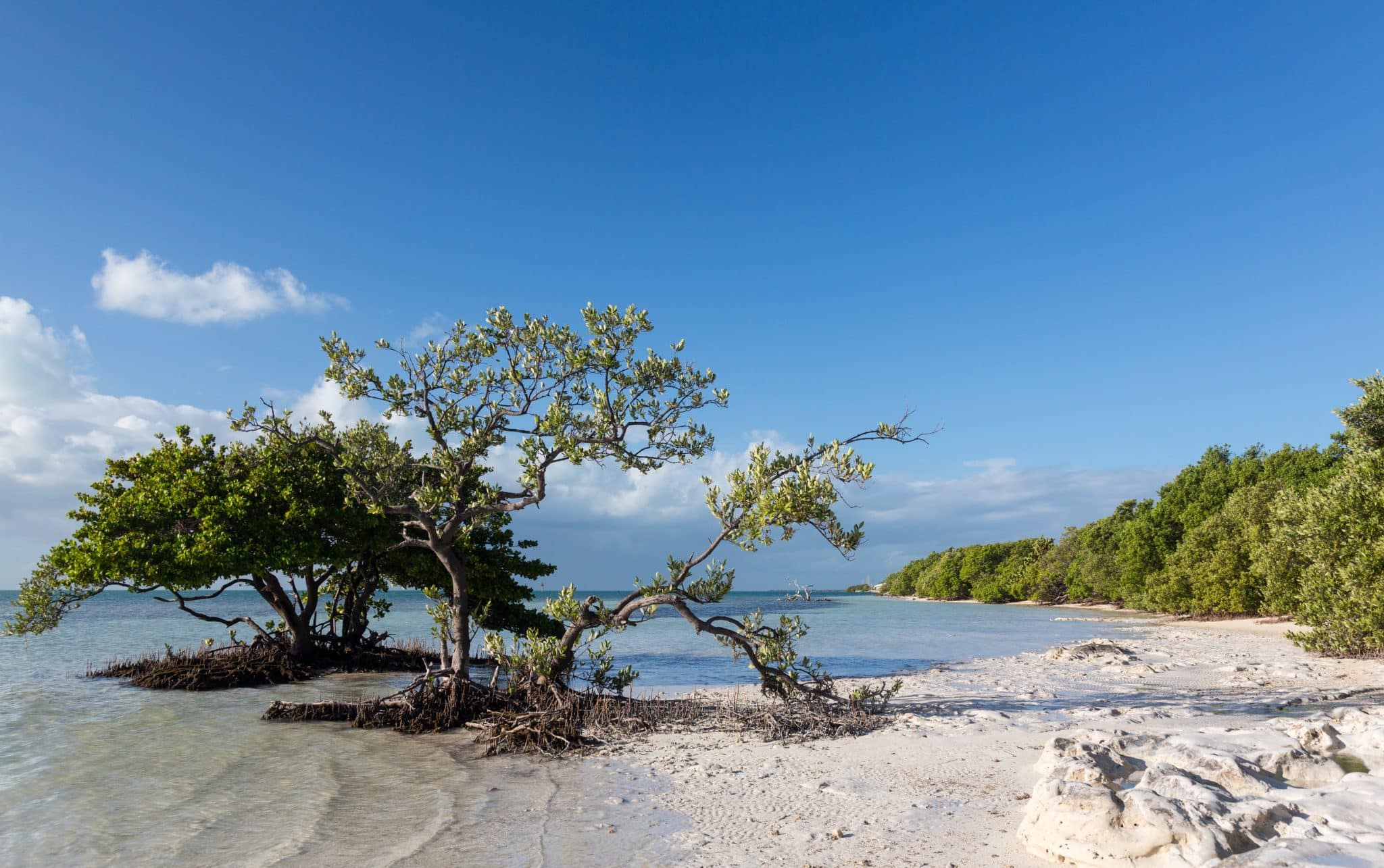 25 Best Florida Keys Beaches (including some surprises!)