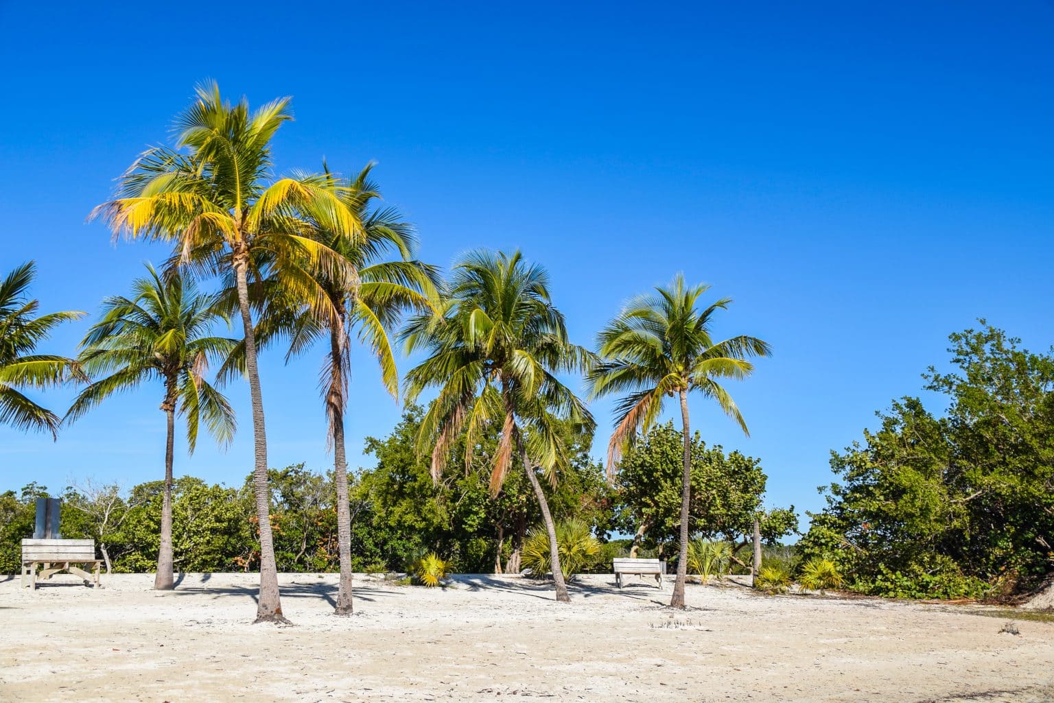 25 Best Florida Keys Beaches (including some surprises!)