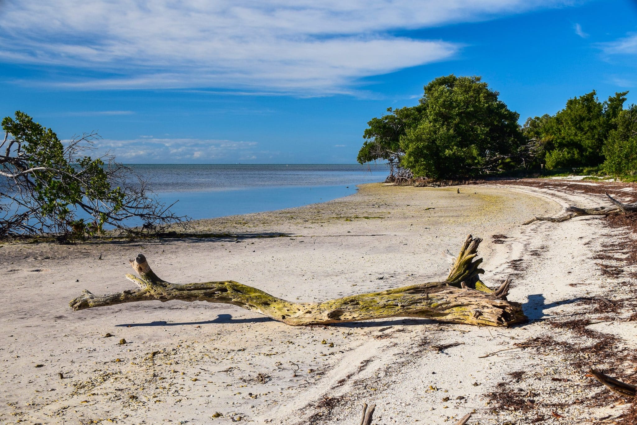 25 Best Florida Keys Beaches (including some surprises!)
