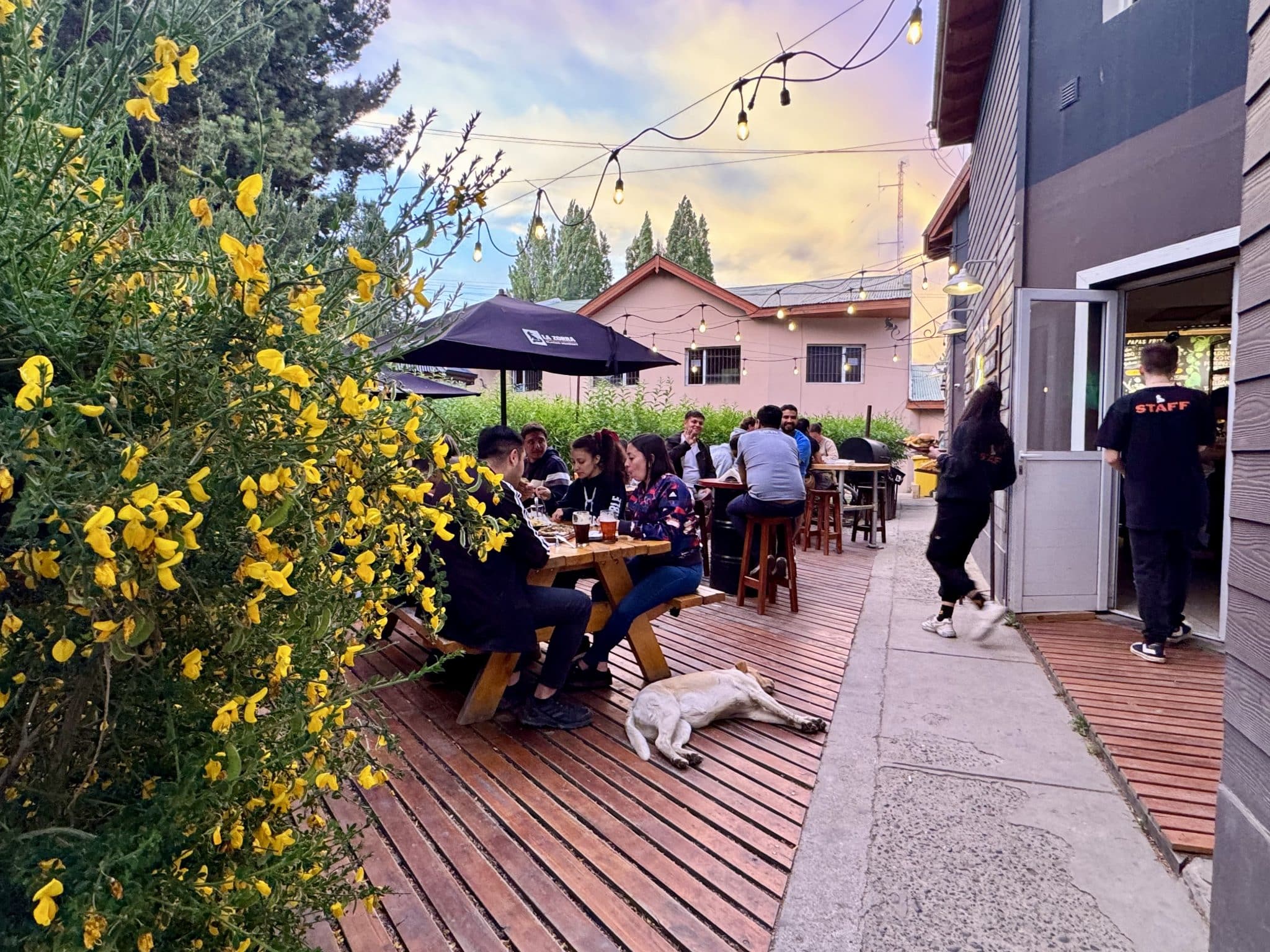 El Calafate or El Chalten: Which Town in Patagonia is Better?