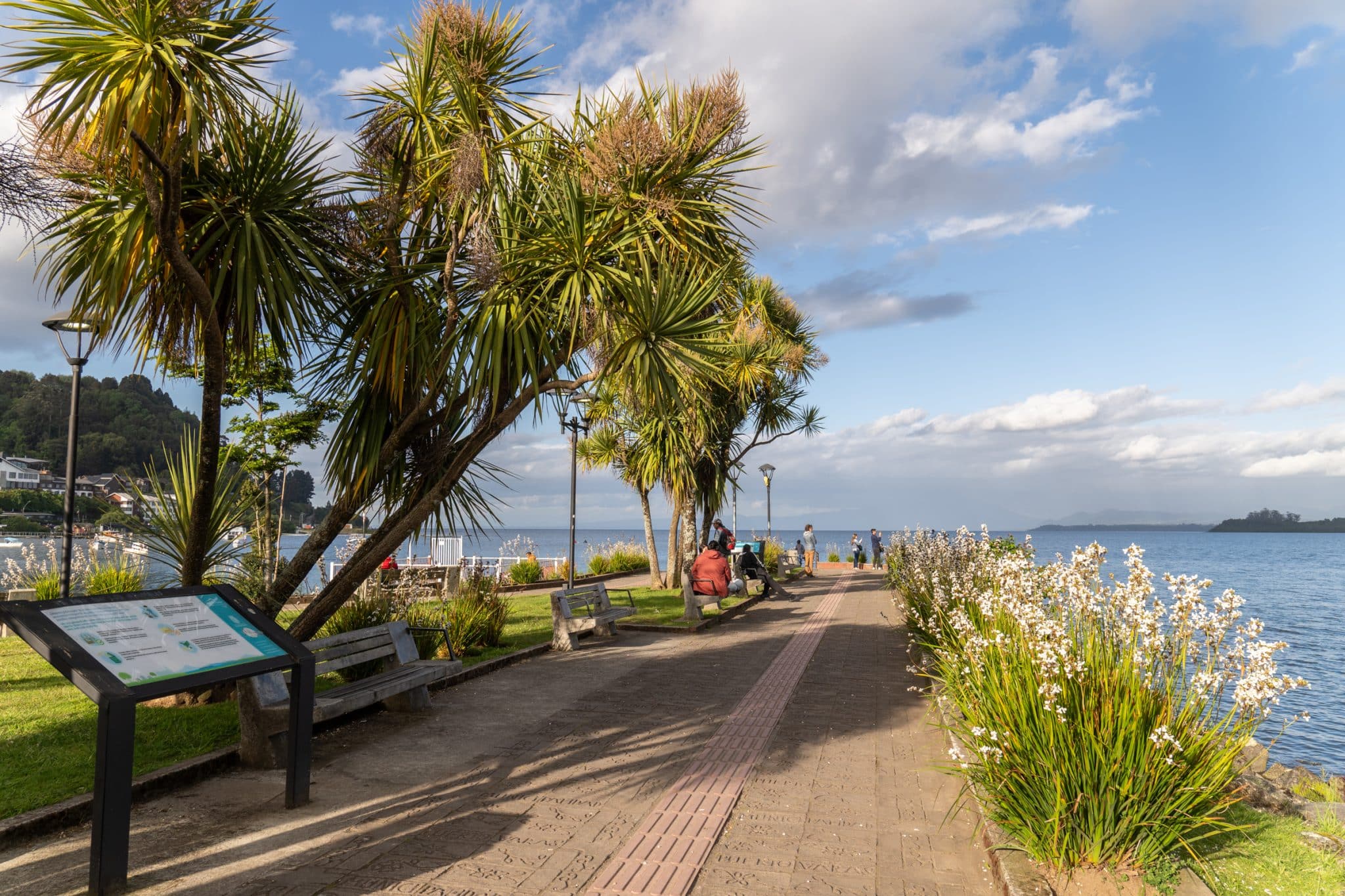 15 Best Things To Do in Puerto Varas, Chile