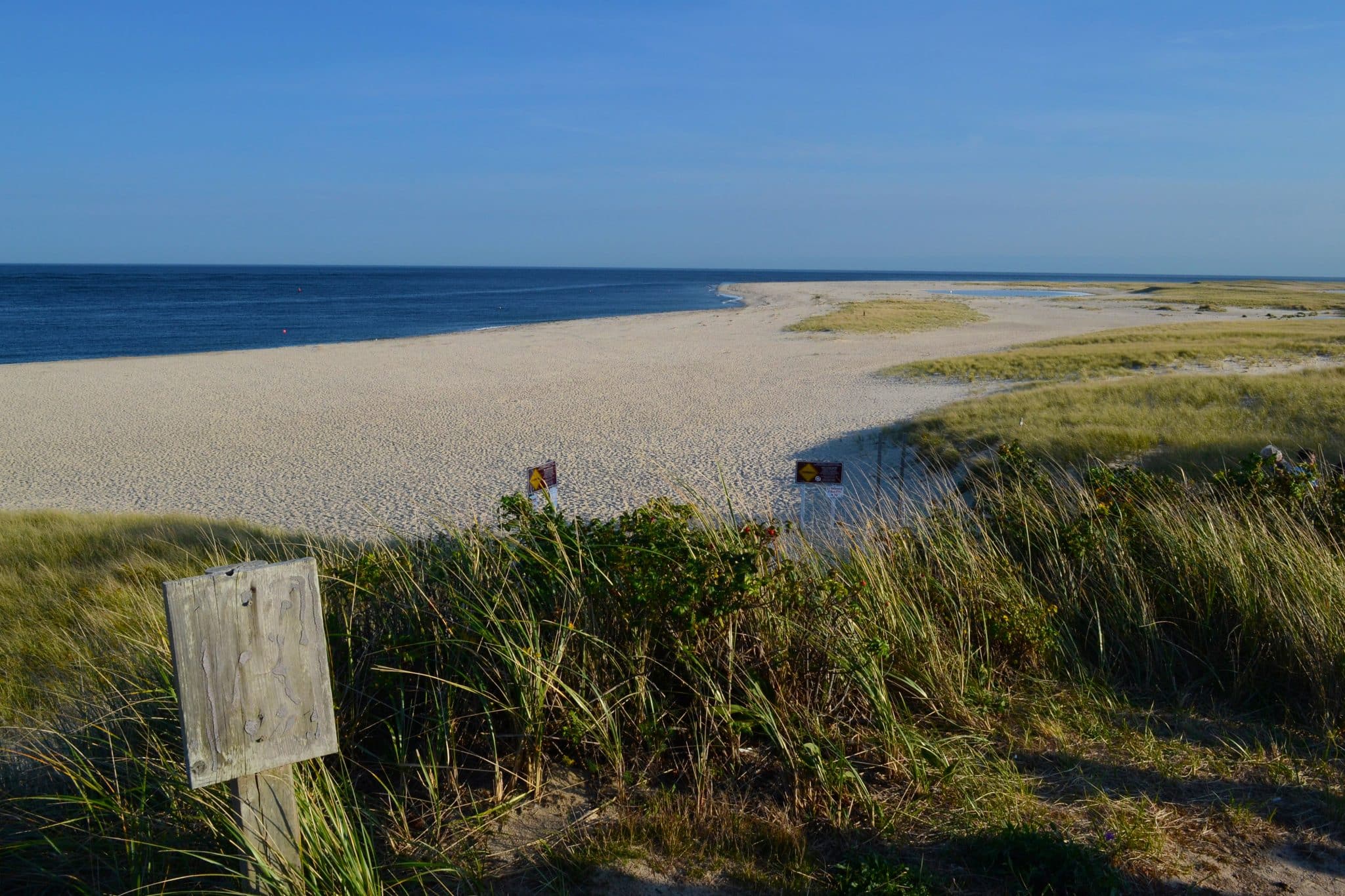 31 Best Beaches on Cape Cod (with something for everyone!)
