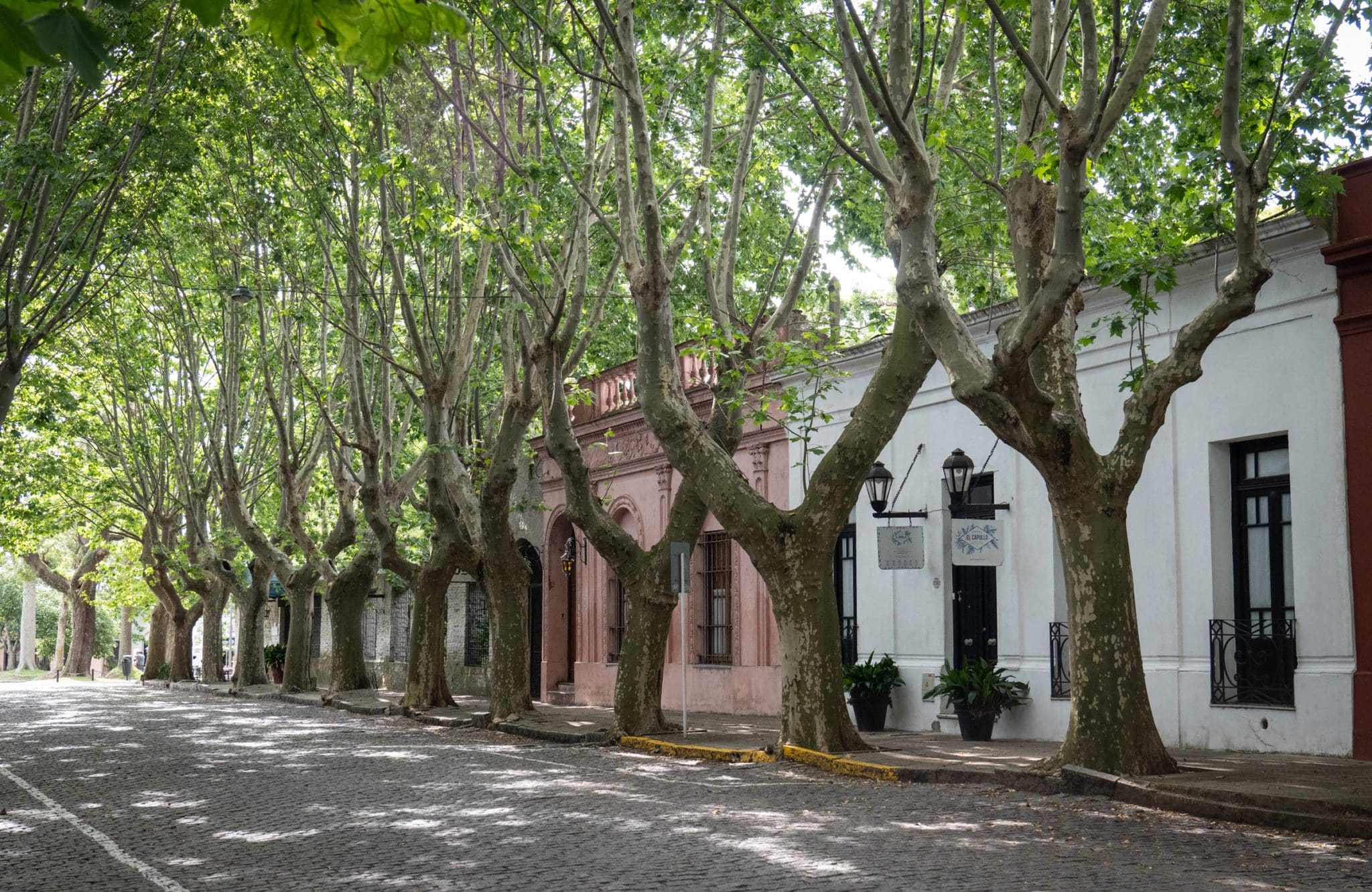 18+ Fun Things To Do in Colonia del Sacramento, Uruguay