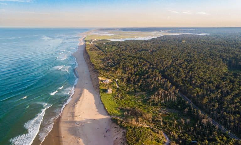 31 Best Beaches on Cape Cod (with something for everyone!)