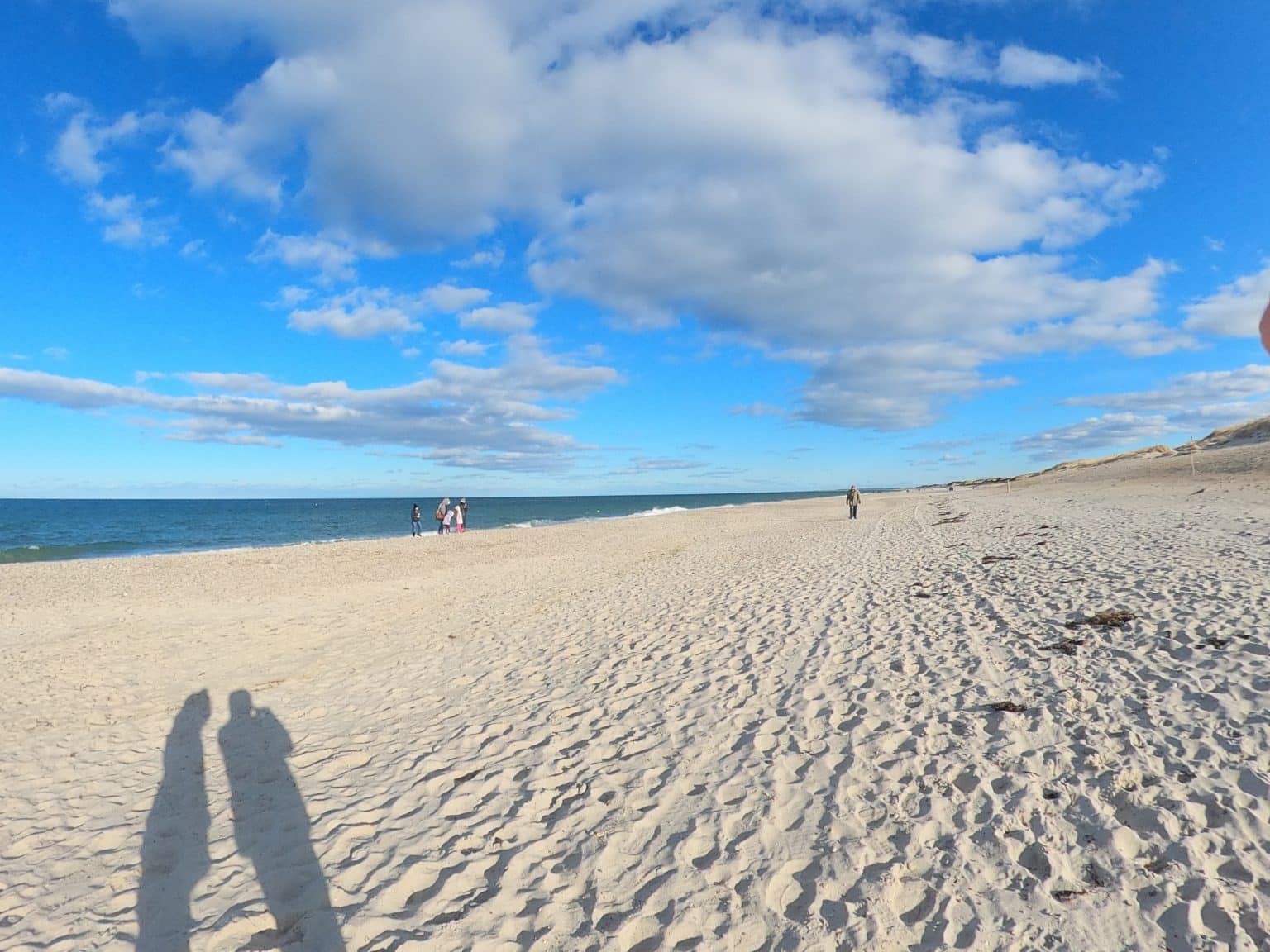 31 Best Beaches on Cape Cod (with something for everyone!)