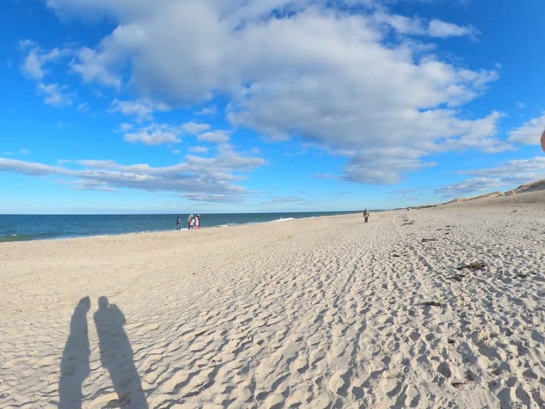 31 Best Beaches on Cape Cod (with something for everyone!)