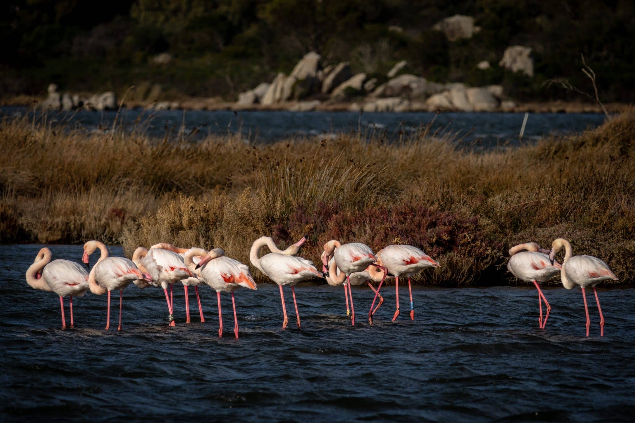 10 Best Things to Do in San Teodoro, Italy